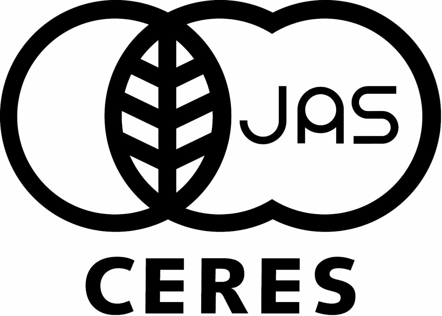 Cacique: Brazil's Premier Instant Coffee Exporter